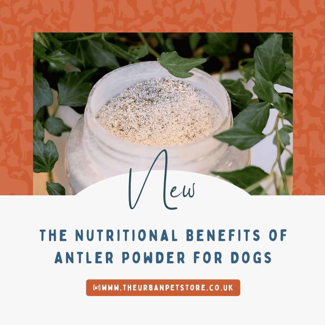 The Nutritional Benefits of Antler Powder for Dogs – The Urban Pet Store
